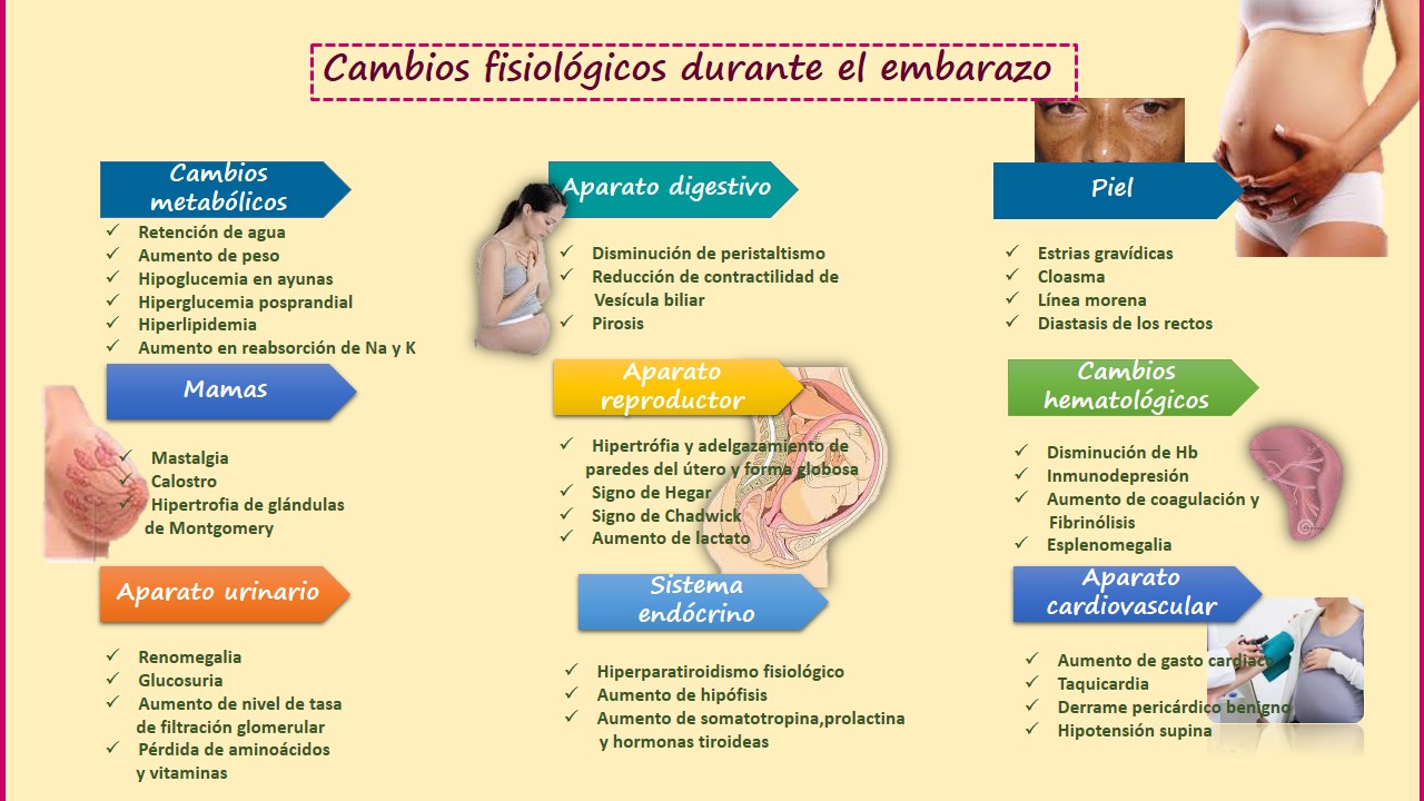 Blog de evaluaciones de fisiologia médica de Teresita de Jesus Leon ... Blog de evaluaciones de fisiologia médica de Teresita de Jesus Leon ...