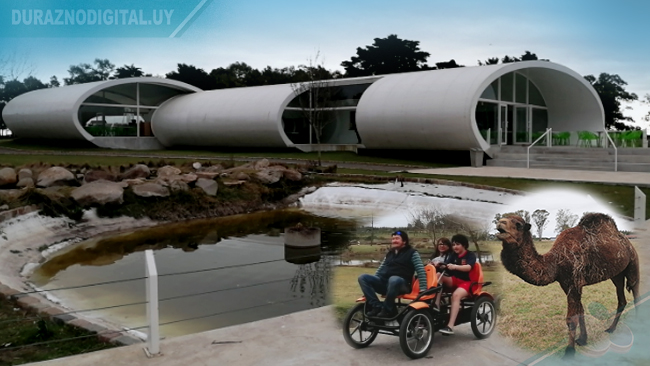 Reabrió hace un año: con balance positivo Eco Parque Tálice apunta a ...