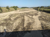 Rutas y paisajes de Catalunya: Descubre el delta de la Tordera