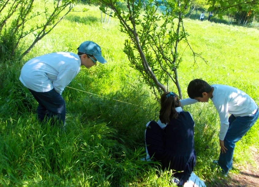 CLASA NOASTRĂ: [ FOTO ] Metrul - unitate de măsură pentru lungime