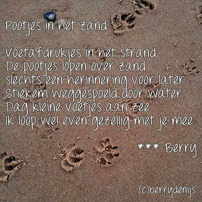 Writing Berries Dagje Uit Blogger: Writing Berries Gedichtenservice