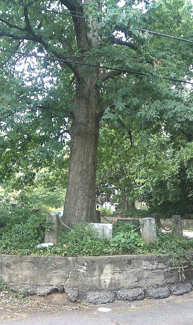 The HappiTraveler: The Tree That Owns Itself - Athens, GA