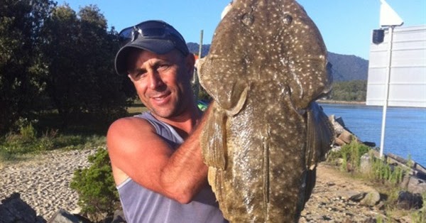 Big Fishes of the World: FLATHEAD AUSTRALIAN (Platycephalus fuscus)