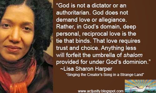 Musings of a Discerning Woman: Theology Quotes: Lisa Sharon Harper