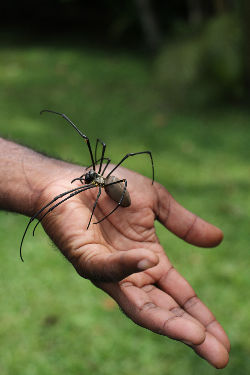 The Monday Issue: VANUATU!