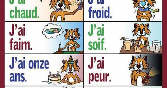 3ºESO, ENCORE EN FRANÇAIS: EXPRESSIONS AVEC LE VERBE AVOIR