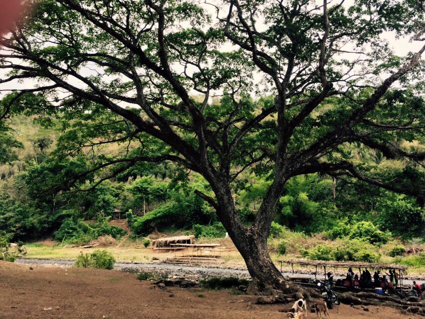 Zarene's Travel: Lagaslas ng Pagsanjan