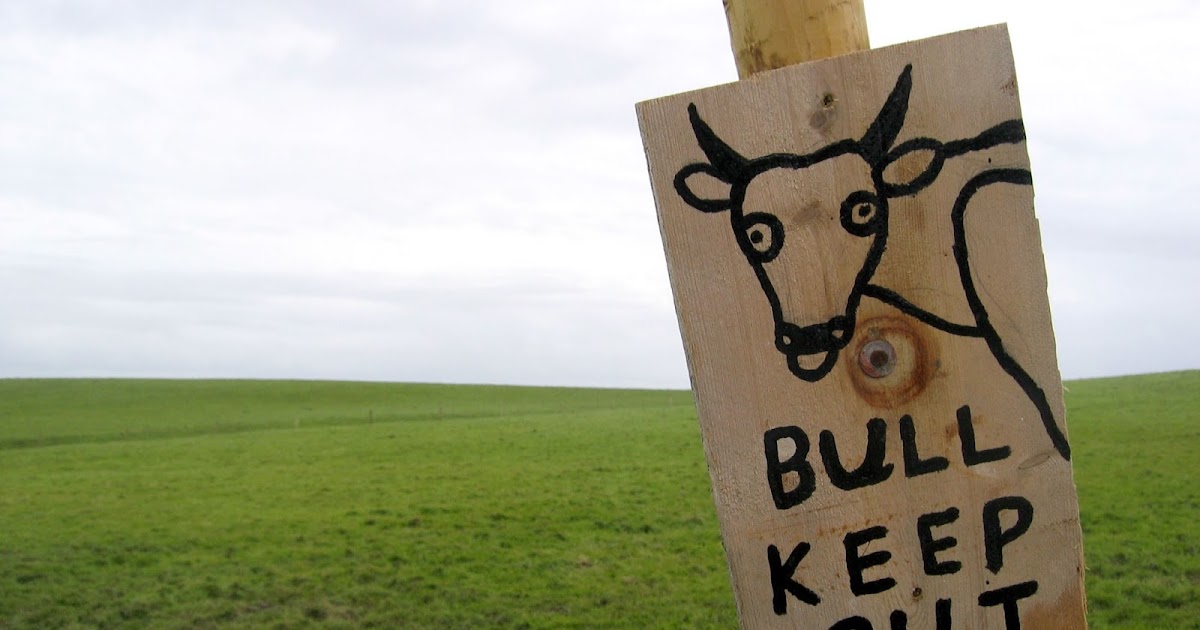 I Can't Go Back To Jail