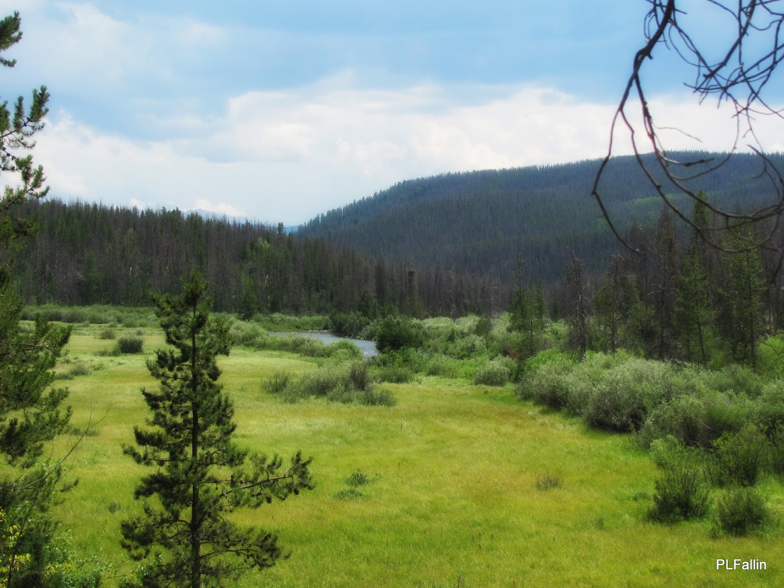 PL Fallin Photography: Ranger Meadows Trail at Shadow Lake Dam