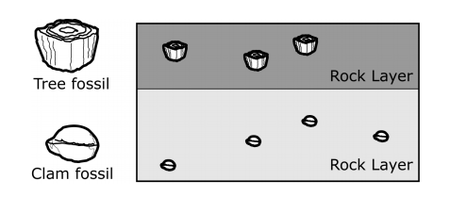 NGSS Assessment Clarification: 4 - ESS1.C - Rock Patterns - FINAL (WND ...