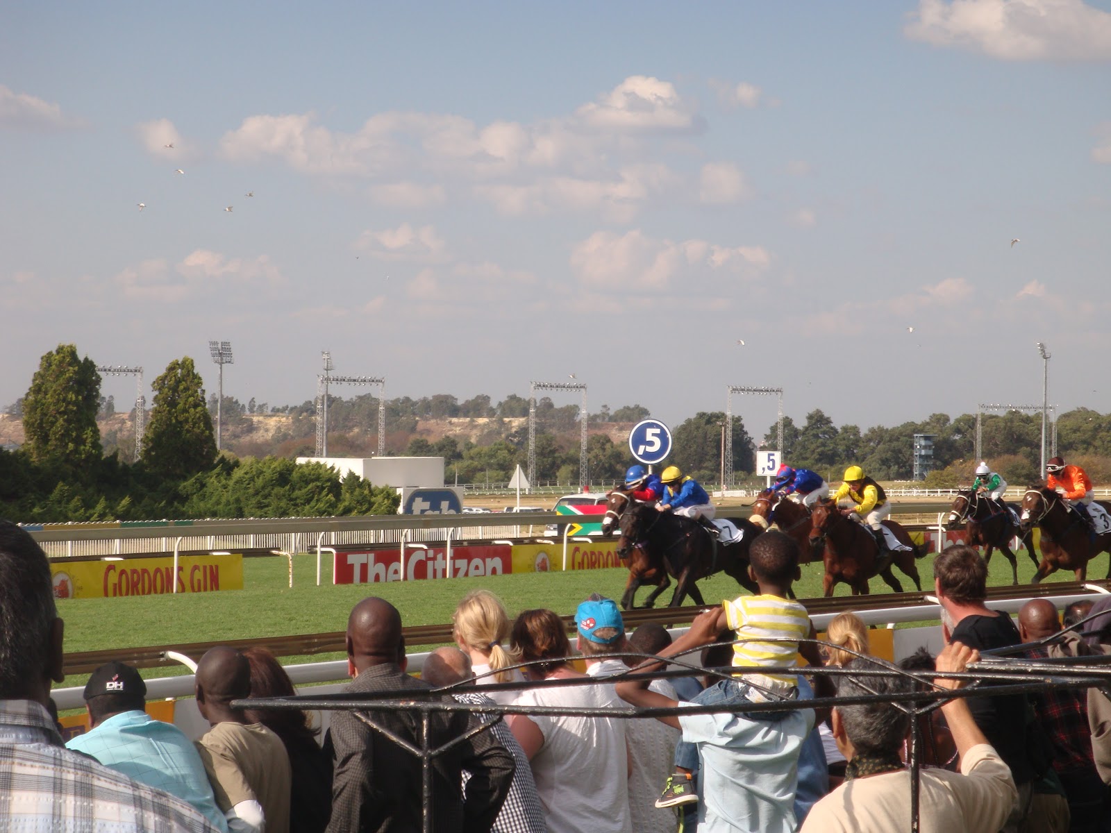 Fede In South Africa: South African Derby