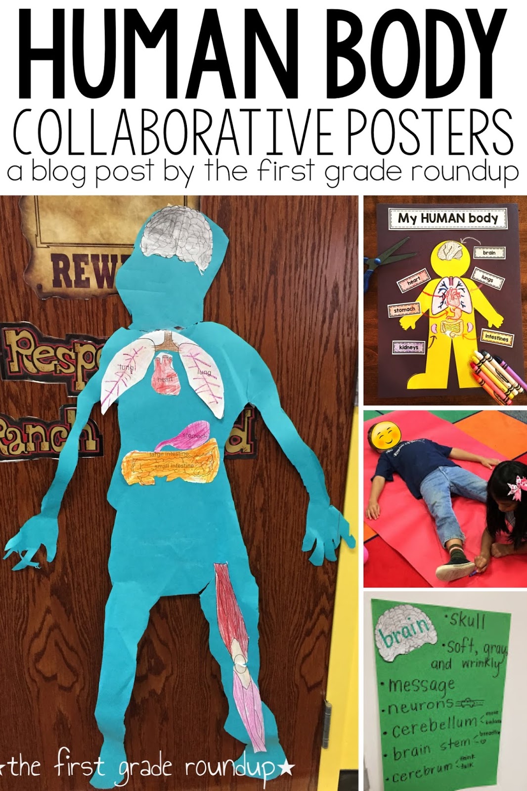 Parts of the body activity - life size human body collaborative posters ...