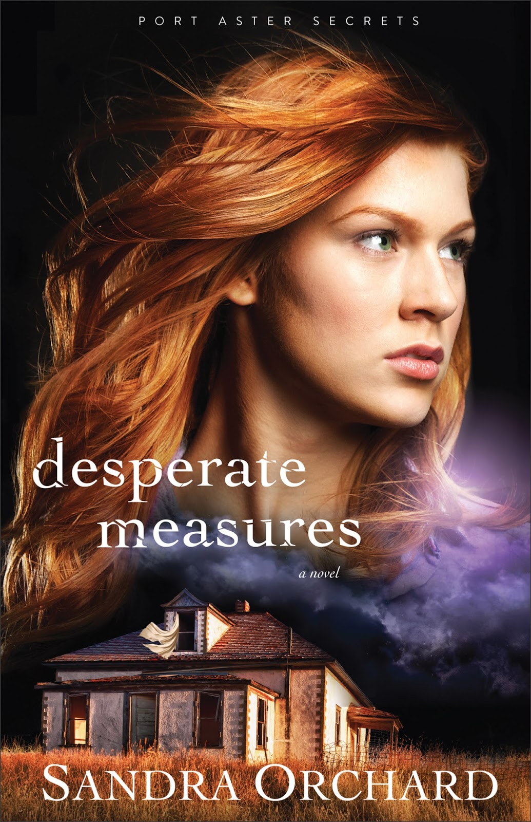Desperate Measures (Port Aster Secrets, Book 3) by Sandra Orchard ...