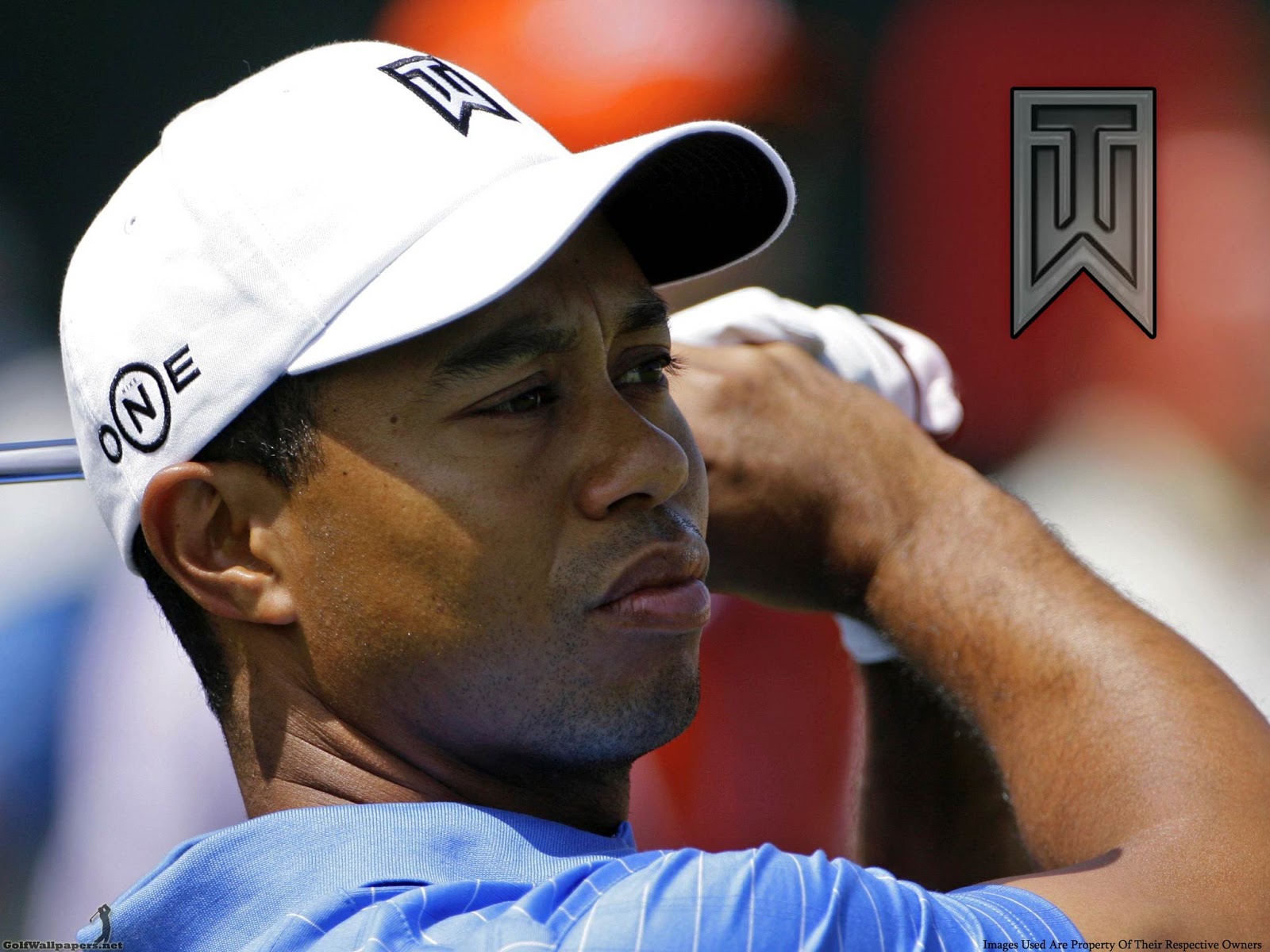 Tiger Wood Hd Wallpapers 2012 | A Blog All Type Sports