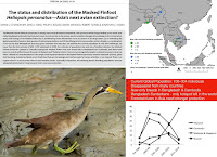 Species New to Science: [Ornithology • 2020] The Status and ...
