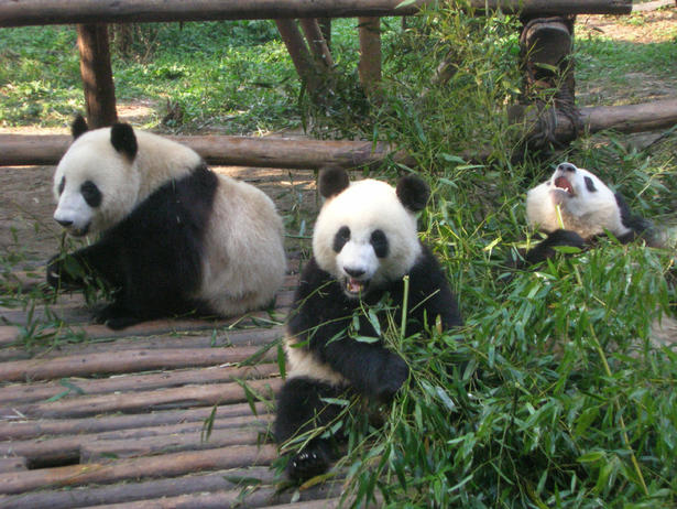 Welcome to China and my home-Fujian