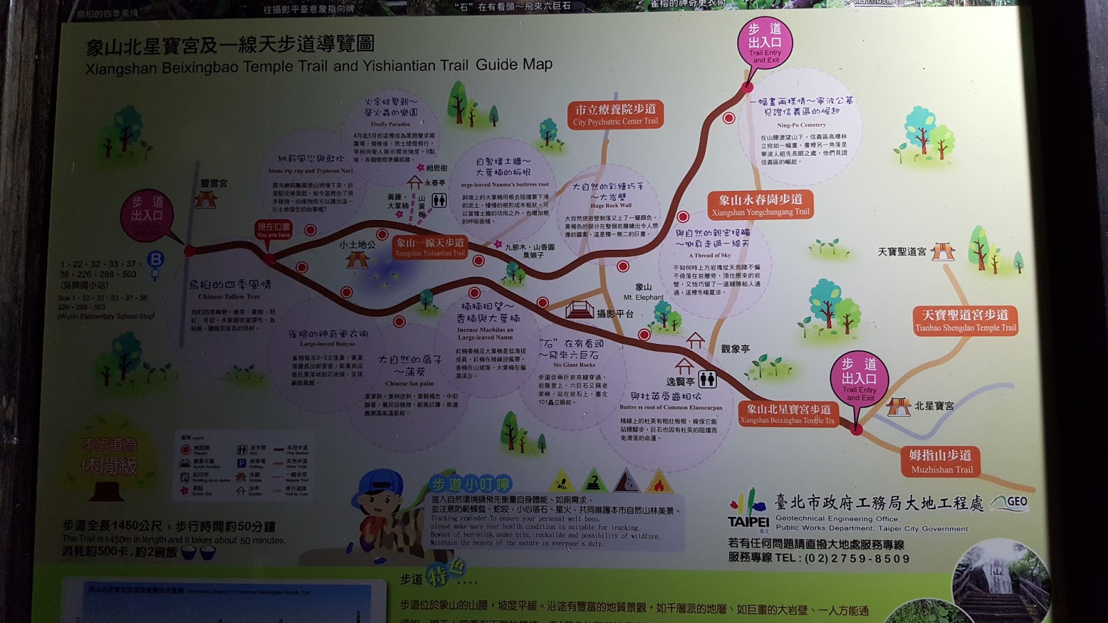 Happy Pill: Elephant Mountain or Nangang District Hiking Trail