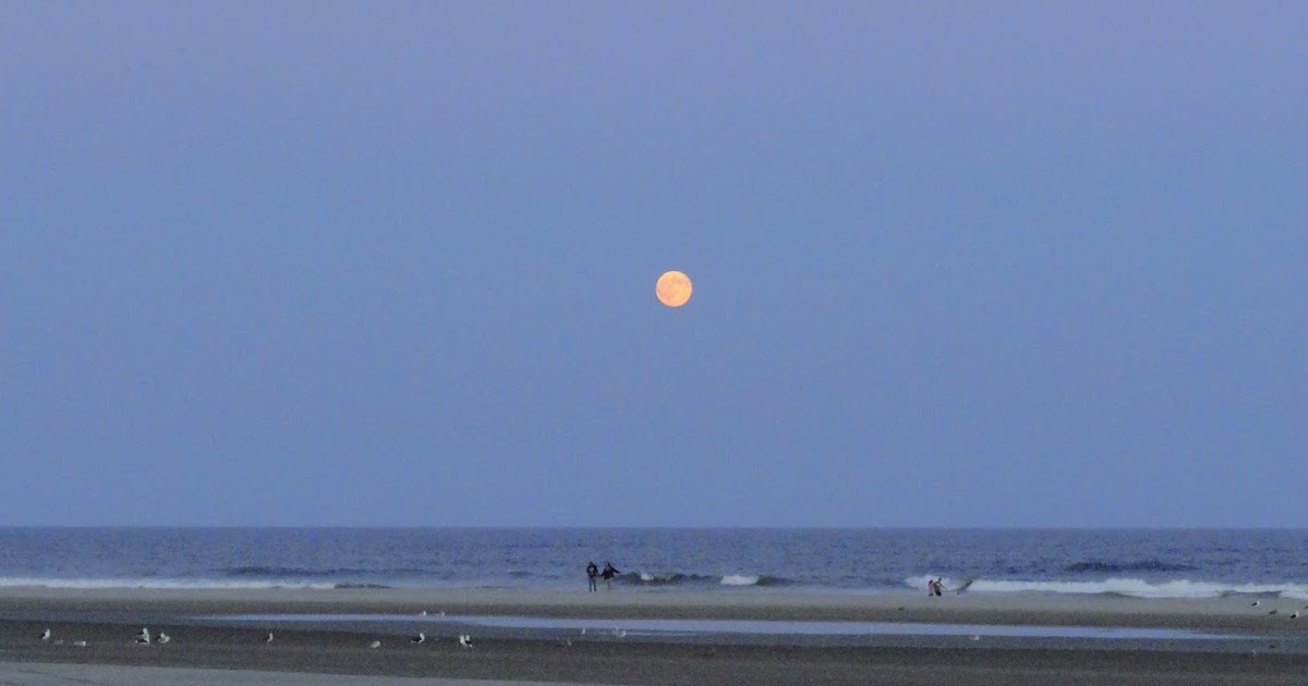 Wildwood Weather: Full Moon Sunday