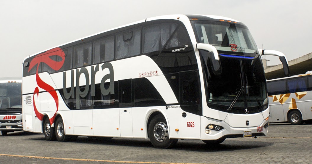 MAXIBUSES: SUPRA