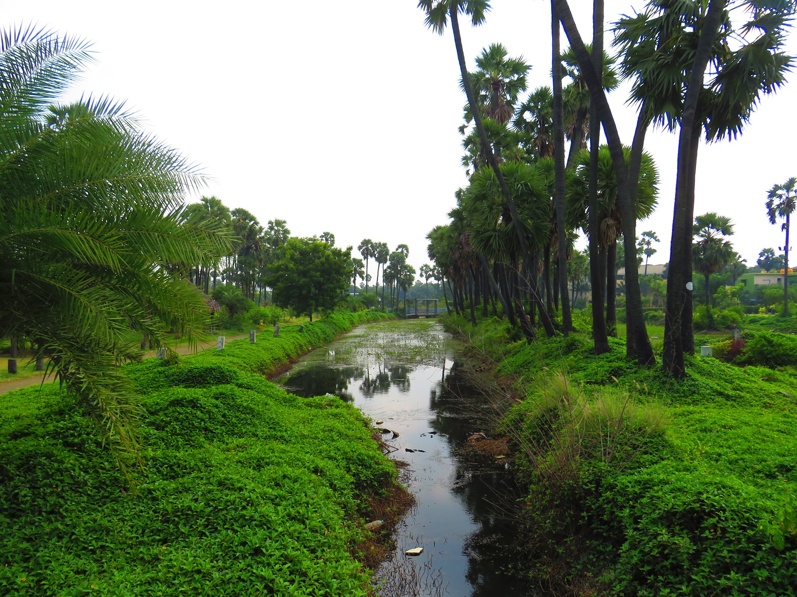 Madhavaram Botanical Garden