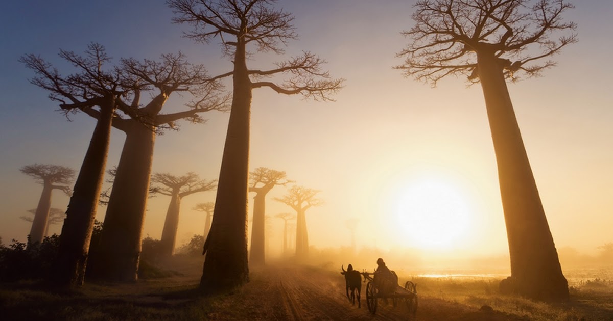 urwege: It´s hot - Shkoon Live Session