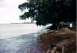 Birding Sudan: Wad Medani Birds in the late 50s and early 60s - by ...