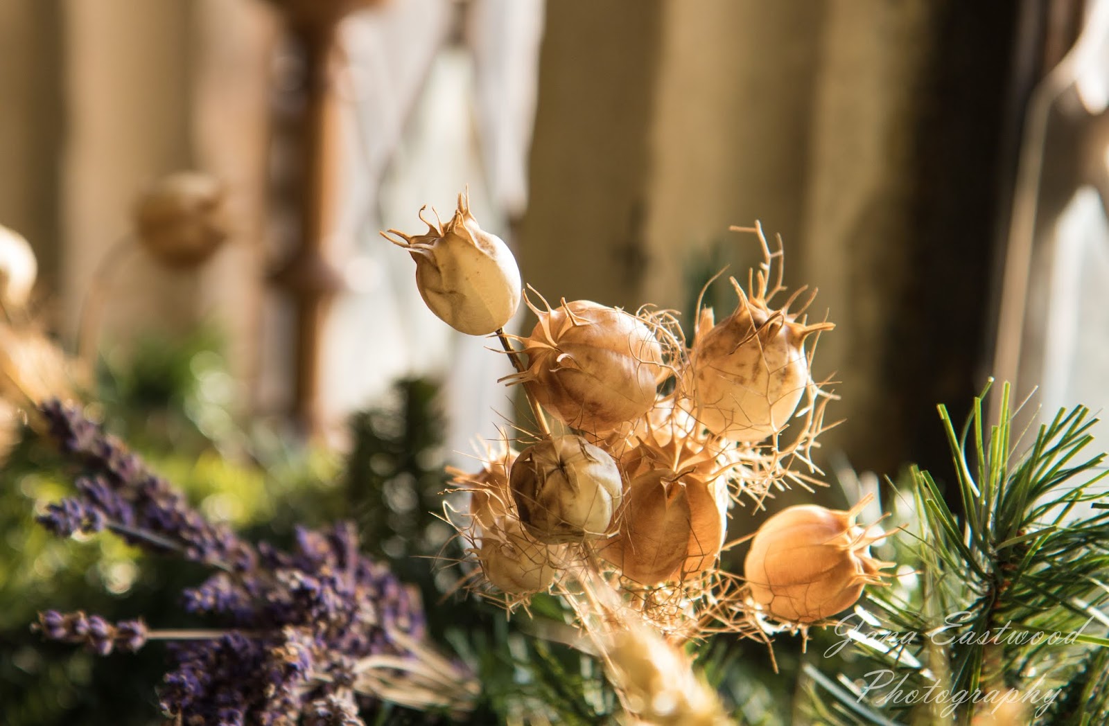 Escapes and Photography: Christmas at Baddesley Clinton