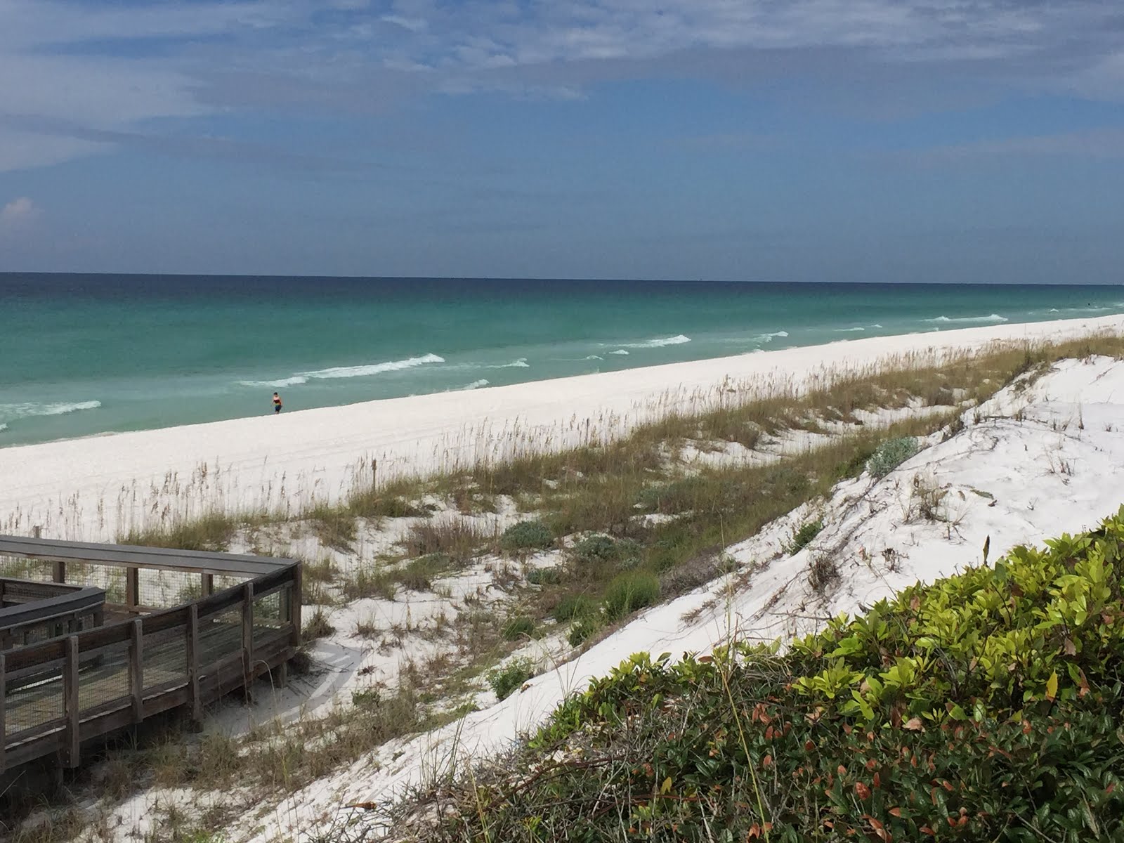 Cozy Rosie: Grayton Beach State Park - Fall 2015
