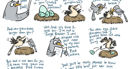 Green Humour: Cuckoo Fathers Day Greeting