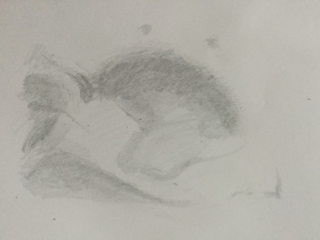 Derek Brueckner's Drawing Courses Information and Examples of Student ...