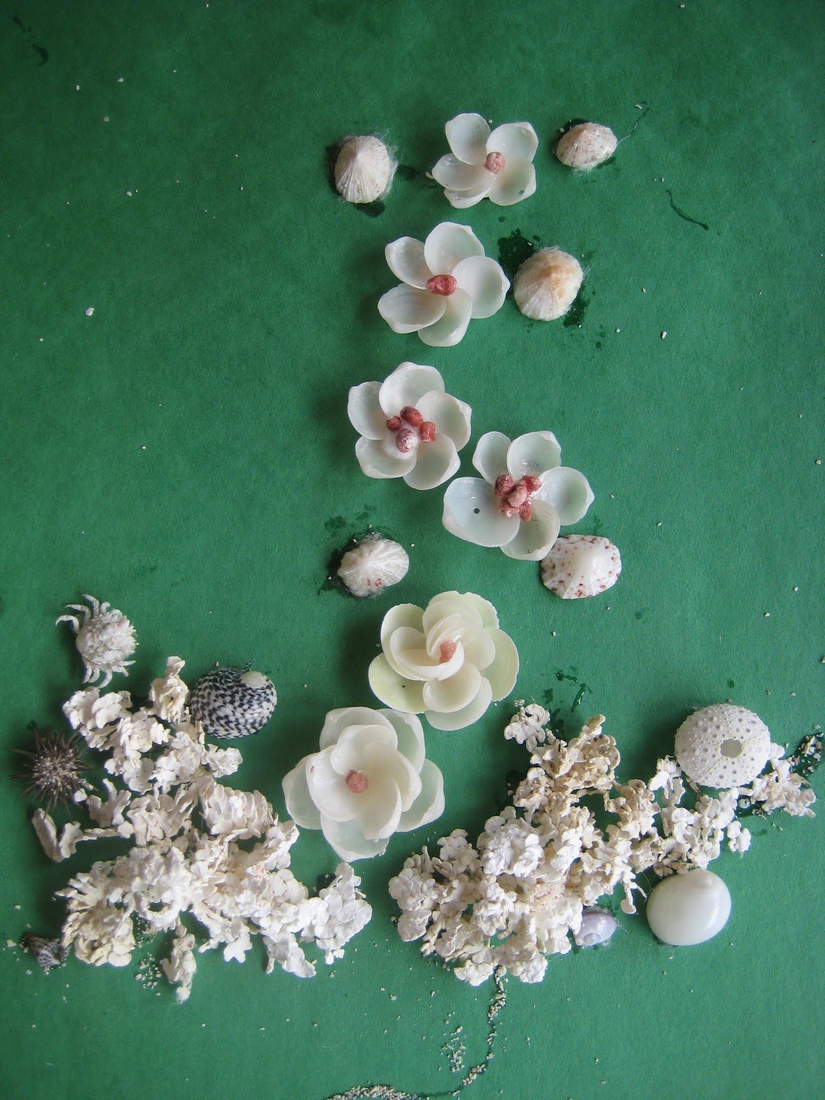 Bish Denham : She Sells Sea Shells