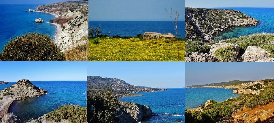 Biodiversity of Cyprus by NGO Protection of the Natural Heritage and ...