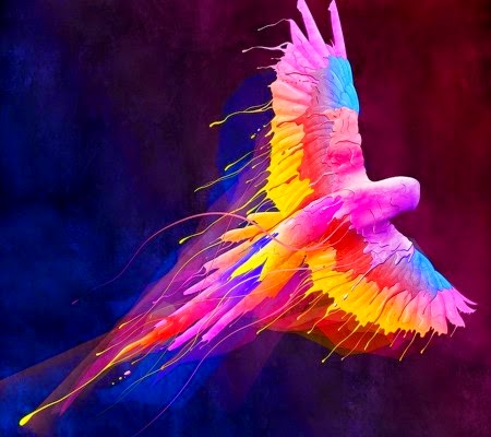 Josh Hoyt: The Bird (Toraun Part3)