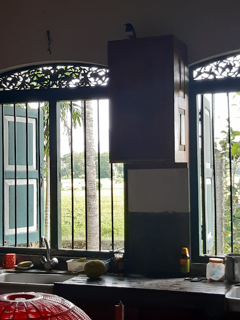 Polkichcha Story - Facing Maha