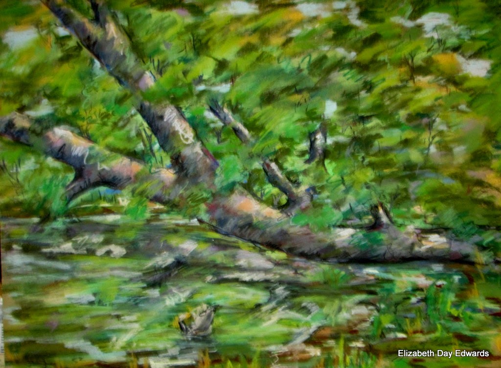 Corner Art Studio: Fallen Tree