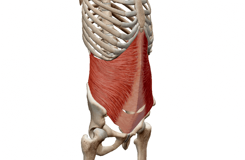 Running Solutions: Transverse Abdominis and Low Back Pain