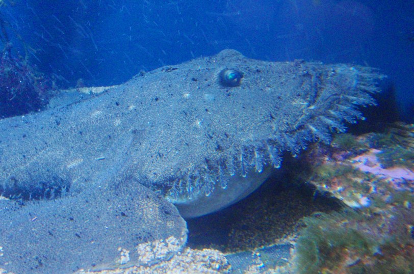 Exhibit Galleries Blog