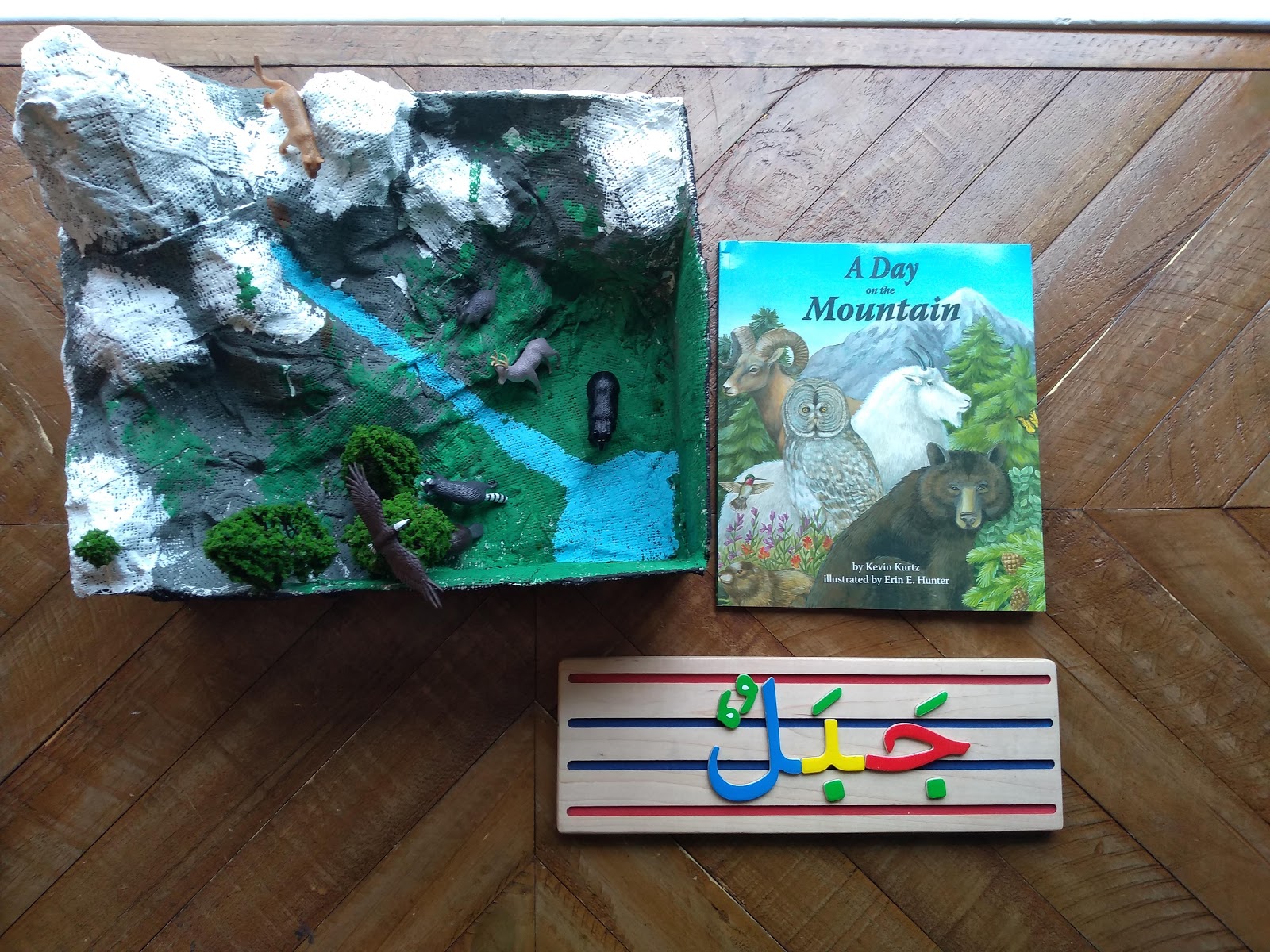 TeacherMomPlus3: Mountain Unit Study