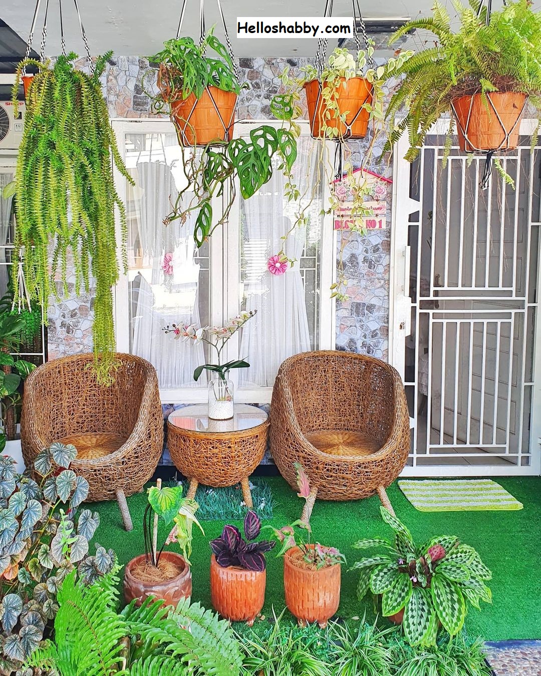 6 Jenis Bunga Gantung di Teras Rumah yang Bikin Rumah Jadi Adem ...