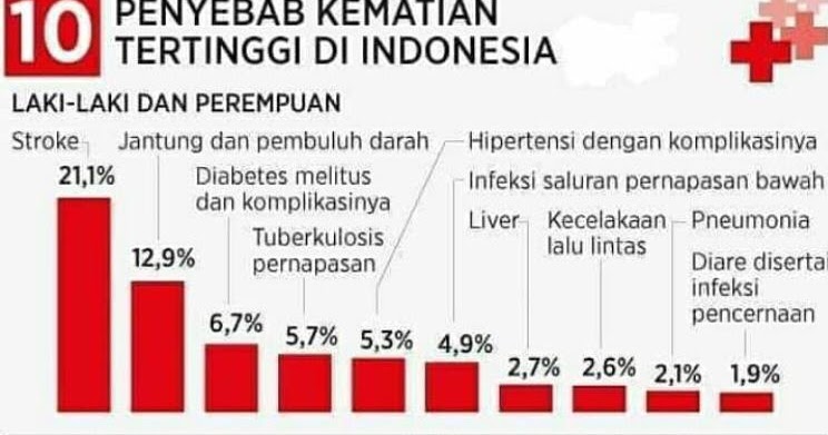 AGEN PRUDENTIAL JAWA BARAT: 10 Penyebab Kematian Tertinggi di Indonesia