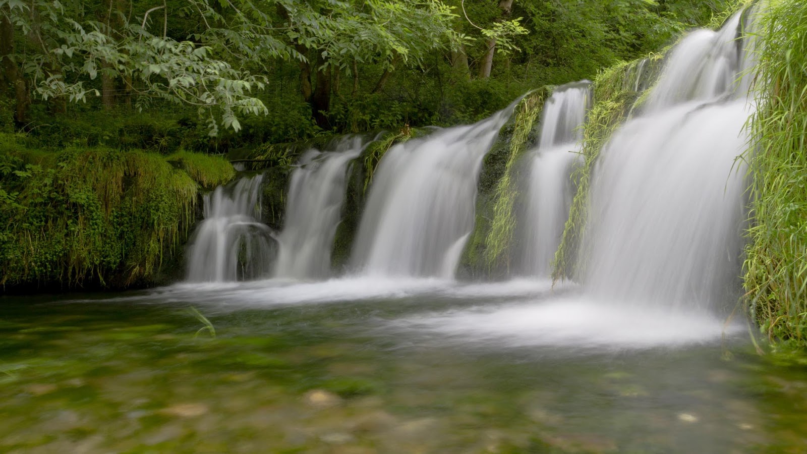 Darley Dale Wildlife: Lathkill Dale waterfall