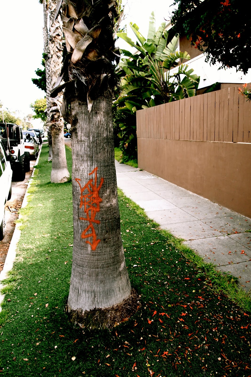 Ronckytonk: Palm tree graffiti