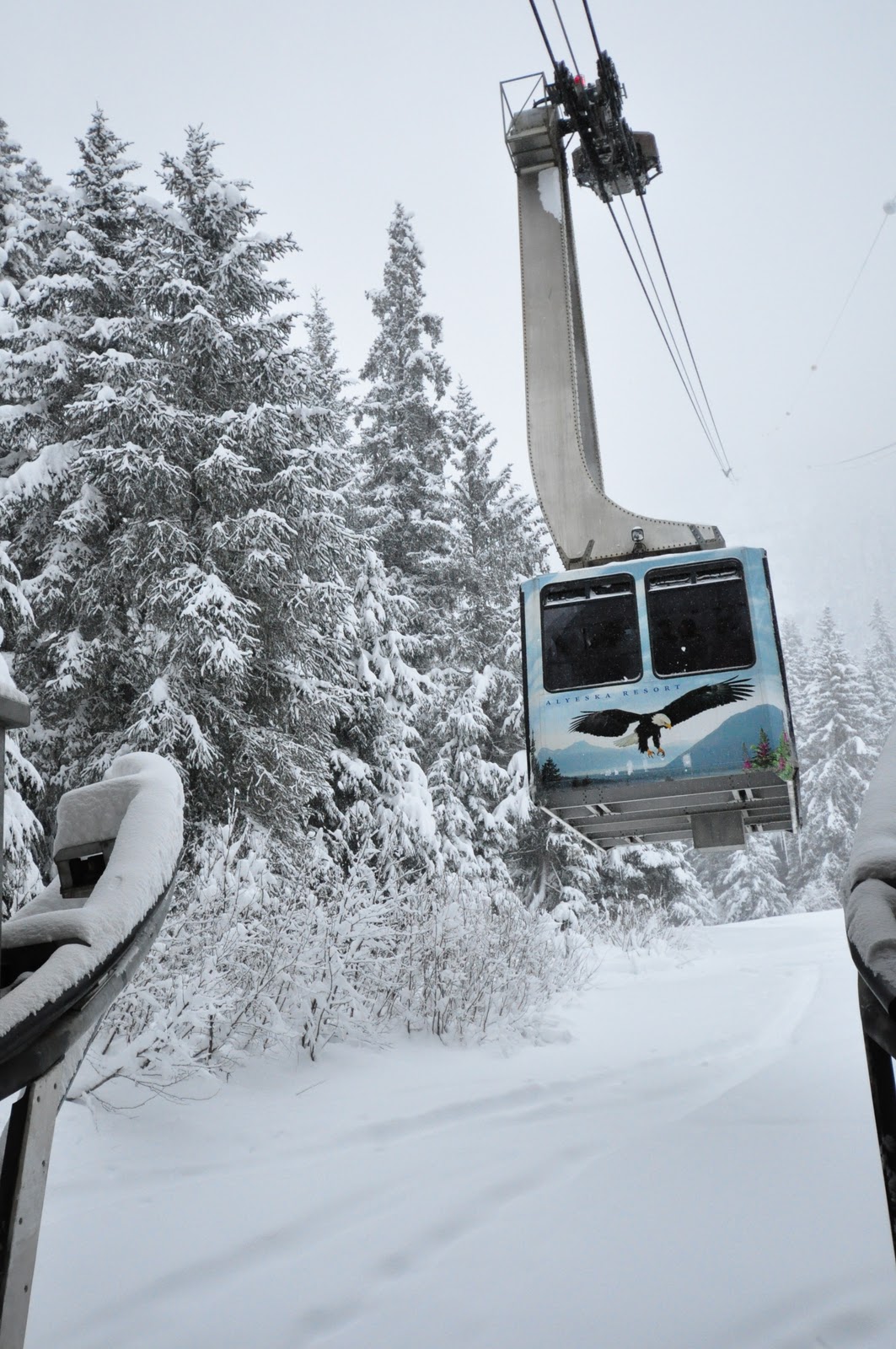 Skiing the Planet: Chasing Bears and Powder in Alaska