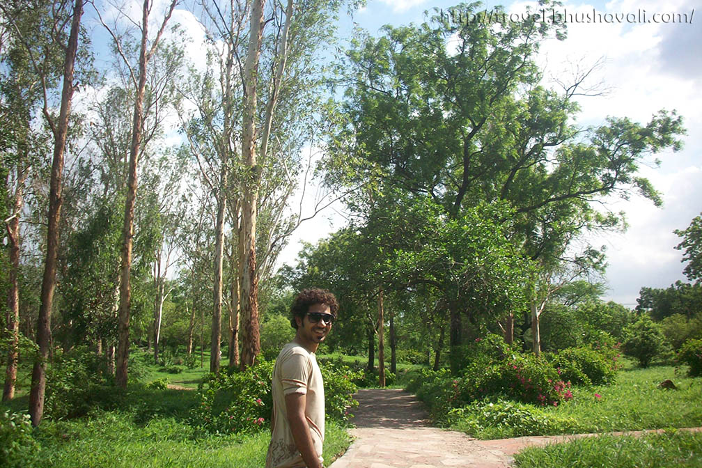 Buddha Jayanti Park in Central Ridge of Delhi Forest | My Travelogue ...