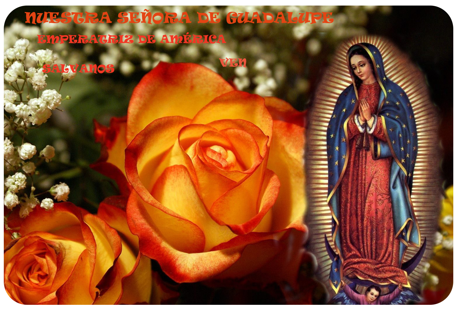 Orando con María Santísima: EL SANTÍSIMO NOMBRE DE MARÍA