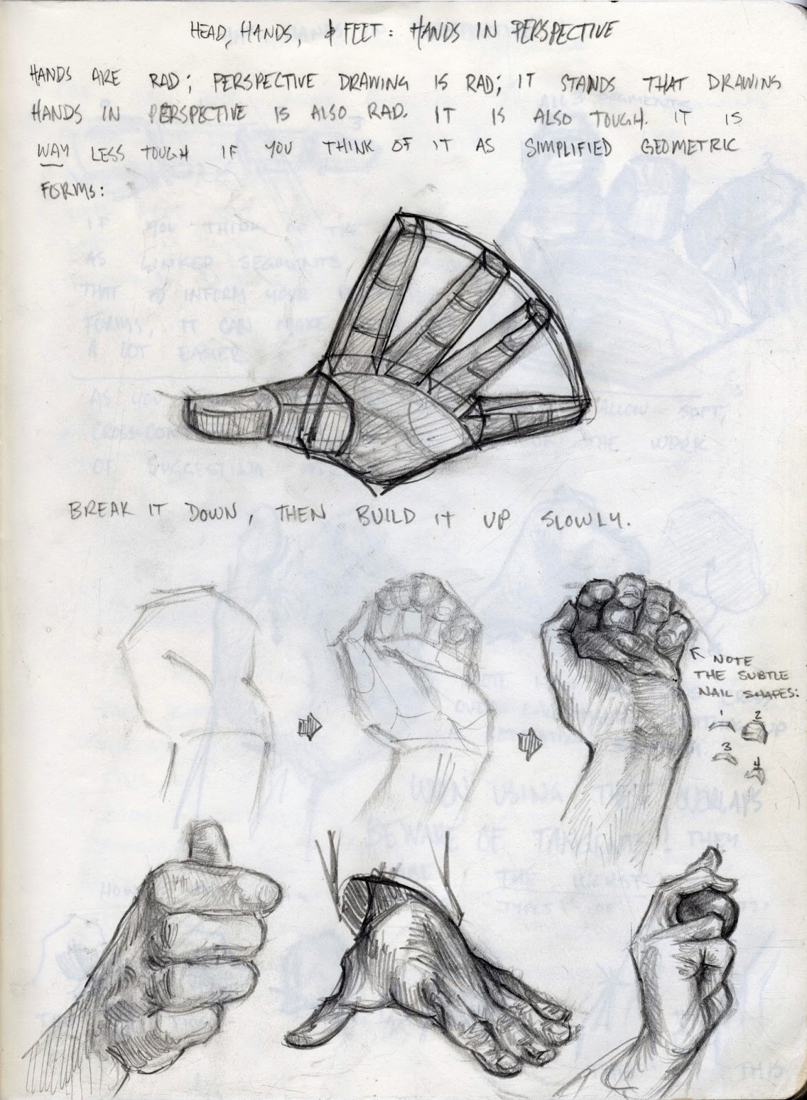 Wombat Revelry: Lesson: Hands in Perspective (sort of)