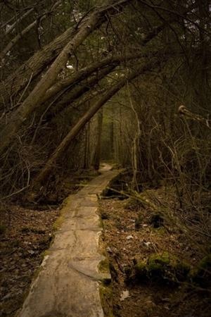 Classic Urban Legends