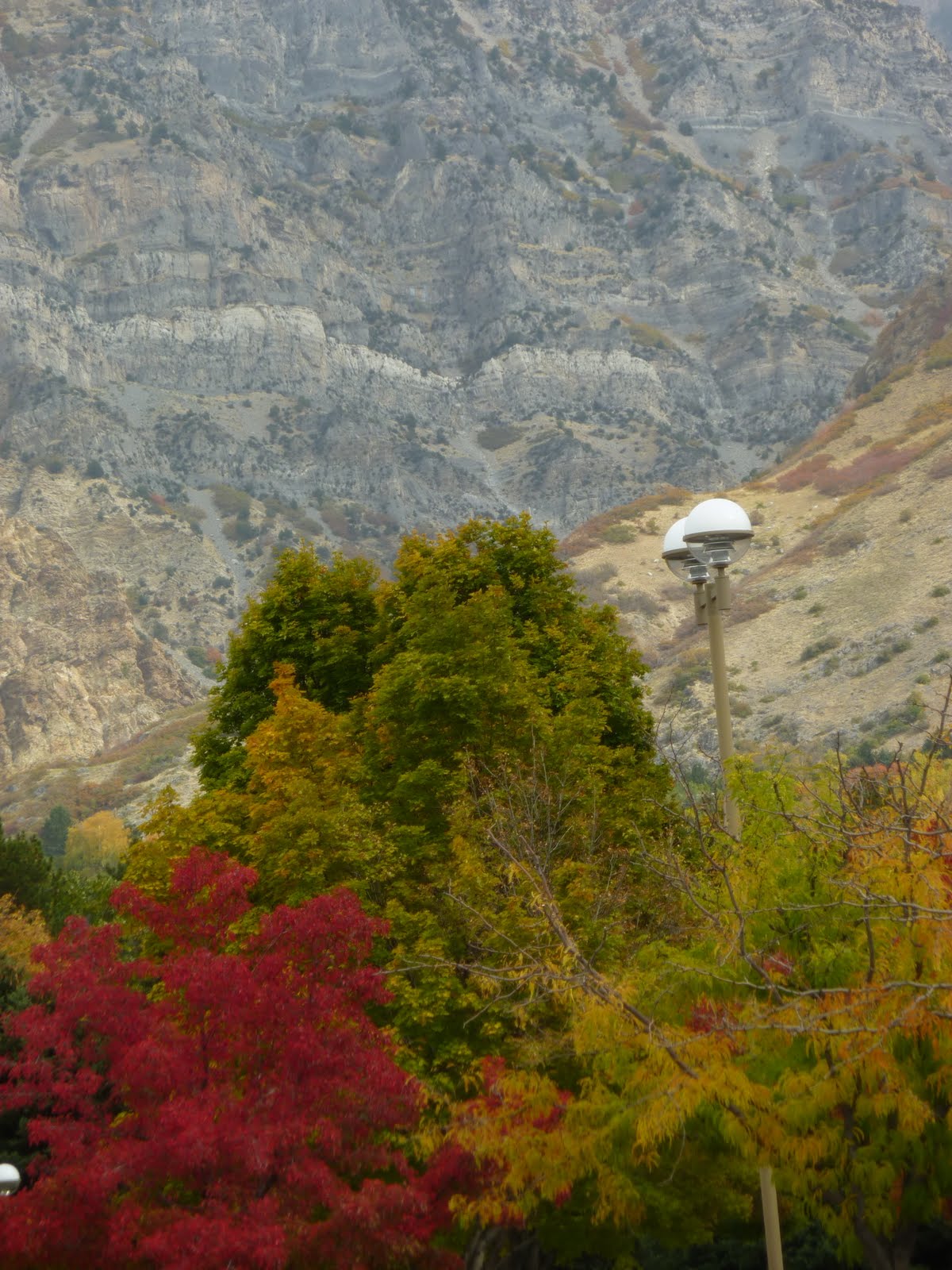 A Place to Share: Fall color shots while walking in Provo