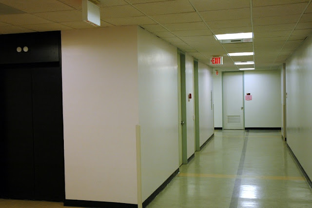 OTIS (Odd Things I've Seen): The New York Grimpendium: Wilder Brain ...