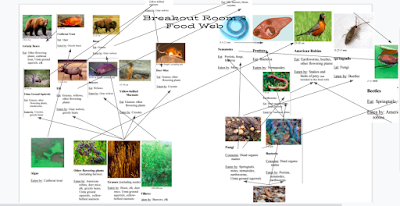 Biology by the Math Mom: Food Webs Lab: Live or Virtual